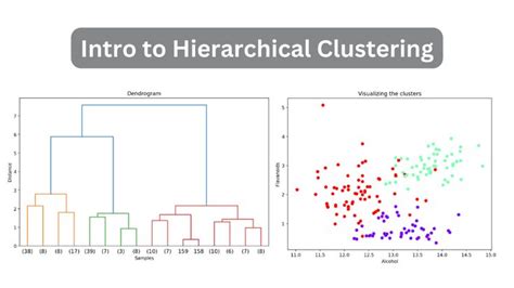 In This Guide To Hierarchical Clustering Learn How Agglomerative And Divisive Clustering