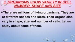 Class 8 Ncert Science Chapter Cell Structure And Functions By Gaurav Ghankhede PPT