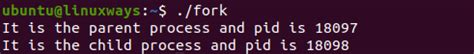 Fork Exec Wait And Exit System Call Explained In Linux VITUX