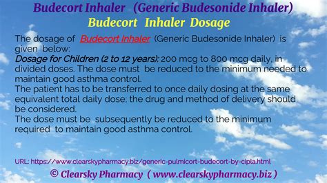 Budecort Inhaler Generic Budesonide Inhaler Ppt