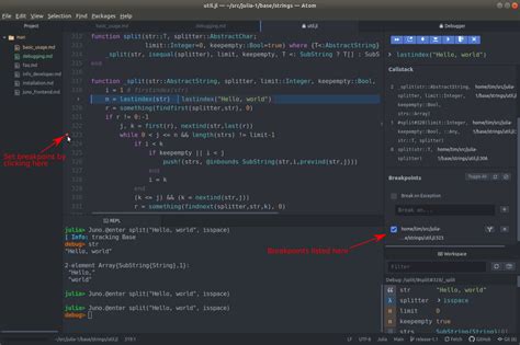 Debugging · Juno Documentation