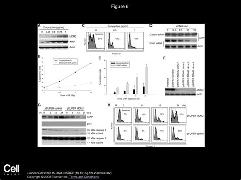 Volume 15 Issue 5 Pages May 2009 Ppt Download
