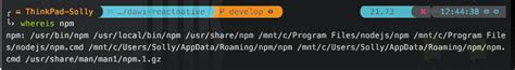 Nodejs Npm Commands Not Working On Bash On Ubuntu On Windows Wsl