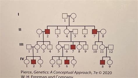 Give The Most Likely Mode Of Inheritance Assuming