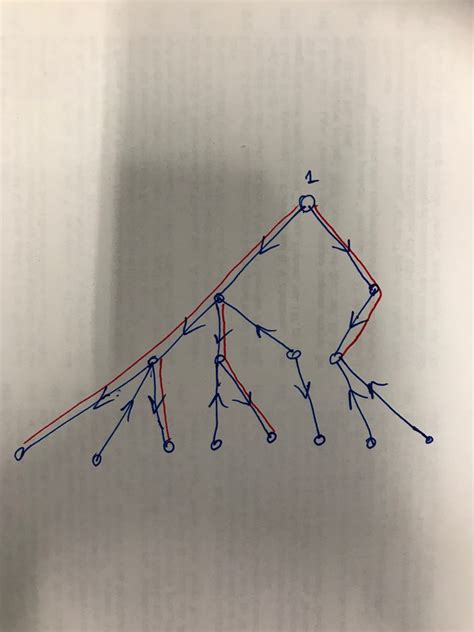 directed trees finding all the edges and vertices in a specific