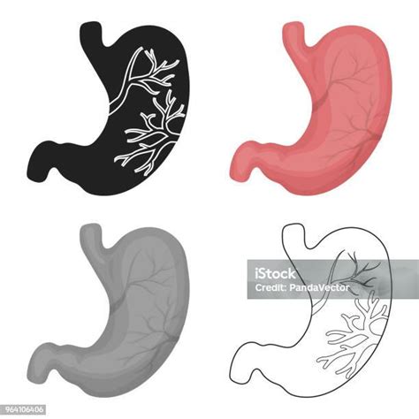 위 아이콘 만화 스타일 흰색 배경에 고립에서 장기 재고 벡터 웹 일러스트 심볼 건강관리와 의술에 대한 스톡 벡터 아트 및 기타 이미지 건강관리와 의술 그림자 디자인
