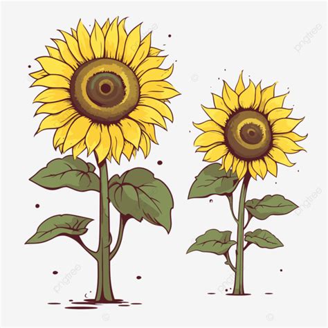 Sunflower Outline Vector Sticker Clipart Cartoon Sunflower With Leaves