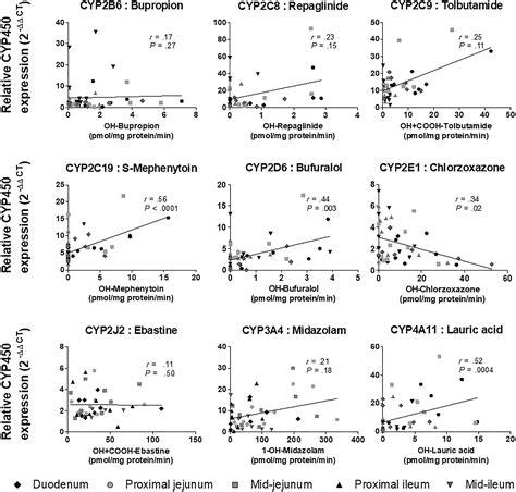 Activity And Mrna Expression Levels Of Selected Cytochromes P450 In Various Sections Of The