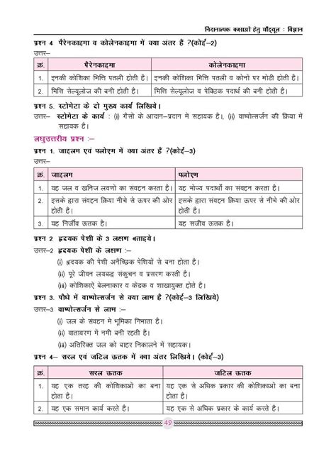 MP Board Remedial Module Class Science PDF AglaSem