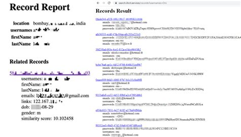 Data Breaches Illicit Lookup Services Worsening Privacy