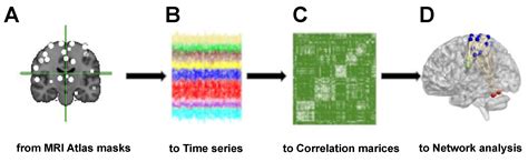 Sex Related Variations In The Brain Motor Network Connectivity At Rest During Puberty