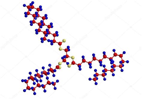 Triglycerides 3d Structure
