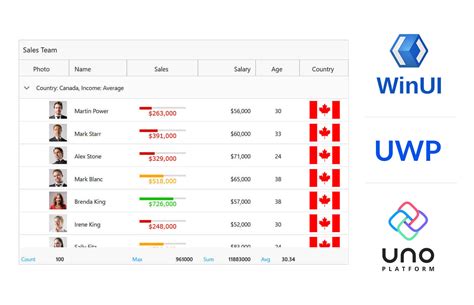Professional Developer Toolkit For Ui Controls Data Visualization Infragistics