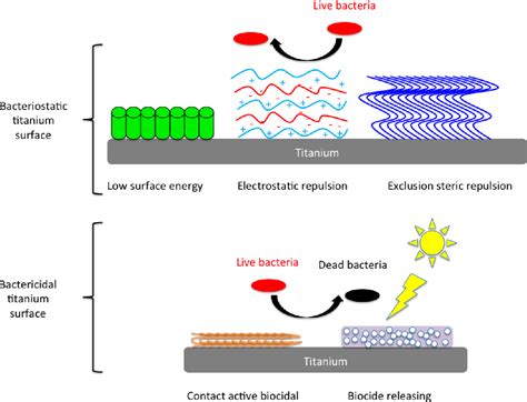 Figure 1 From Review Of Titanium Surface Modification Techniques And