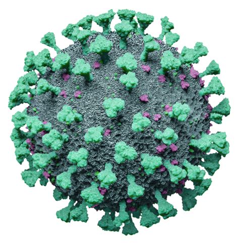 Cellentia