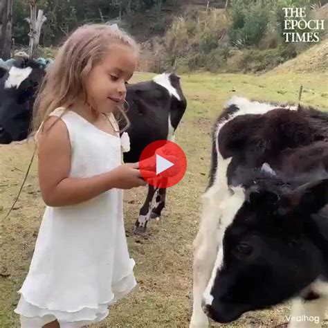 소와 인터뷰하는 귀여운 아이mp4 유머움짤이슈 에펨코리아