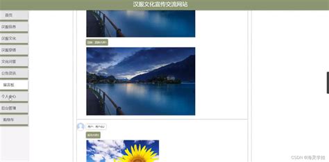 Nodevue毕设汉服文化宣传交流网站（程序mysqlexpress）汉服文化网页设计 Csdn博客