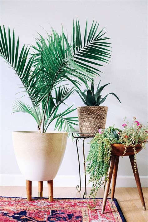 17 Best Images About Indoor Planters Pots On Pinterest Plant Pots