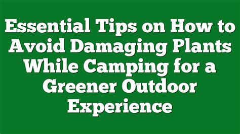 Essential Tips On How To Avoid Damaging Plants While Camping For A Greener Outdoor Experience