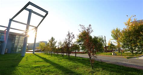 2024西南财经大学各学科排名西南财经大学学科评估一览表 大考100