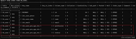 Mysql索引优化：最左前缀、联合索引与效率提升策略 Csdn博客