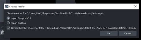 Extracted Frames Are Not Showing In Napari Usage And Issues Imagesc Forum