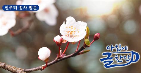 한국 [아침에 글 한 잔] 수행의 길에서 121 진푸티 종사 법문 시리즈 훌륭한 엄마와 아내의 역할” 요 며칠 자신의 감정을 관찰해 본 사람 있습니까 관찰해본