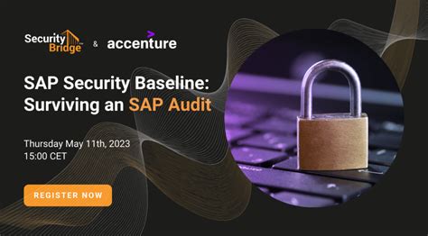 Webinar Sap Security Baseline Surviving An Sap Audit Securitybridge
