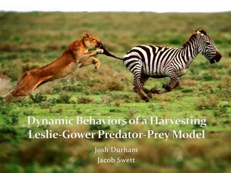Ppt Dynamic Behaviors Of A Harvesting Leslie Gower Predator Prey Model Powerpoint Presentation