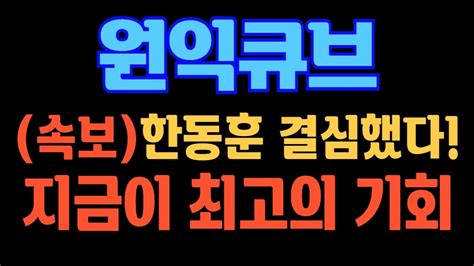 원익큐브 속보 한동훈 결심했다 지금이 최고의 기회 원익큐브주가 원익큐브주가전망 원익큐브전망 Youtube