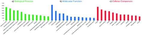 Histogram Of Go Classification Of Assembled Quercus Ilex Transcripts