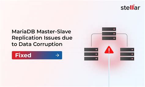 How To Restore Old Mysql Databases To New Xampp Installation