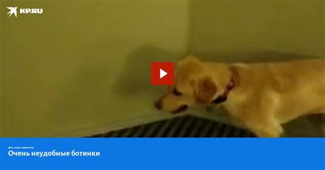 Очень неудобные ботинки Kpru