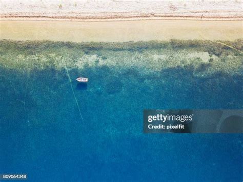 Algae Floating Photos And Premium High Res Pictures Getty Images