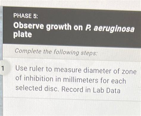 Solved Phase 5 Observe Growth On P ﻿aeruginosa Platecomplete