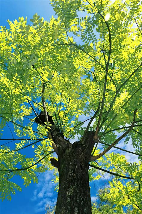 春天不仅仅是一个季节，更是一种心境，用一颗平静的心去感受大自然的美好，那么，春天就会永远留在你的心中。