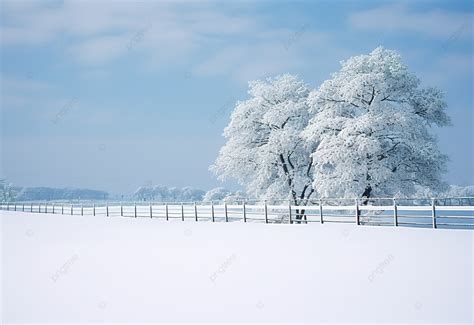 눈 덮인 들판 나무와 울타리 겨울 높은 해상도 국내여행 배경 일러스트 및 사진 무료 다운로드 Pngtree