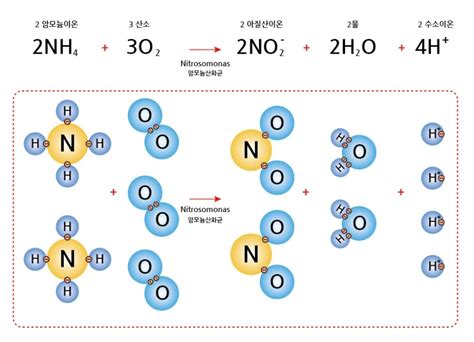질소사이클 이야기2부 네이버 블로그