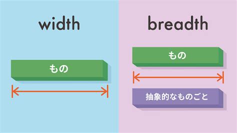 width と breadth の違いとは