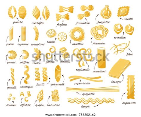 Pasta Collection Set Different Types Vector Stock Vector Royalty Free Shutterstock
