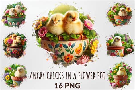 Watercolor Angry Chicks In A Flower Pot Graphic By Digitalcreativeden