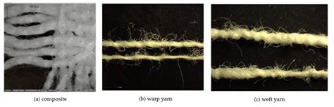 Digital Micrographs Of Composite Fabric With Basic Structural Elements