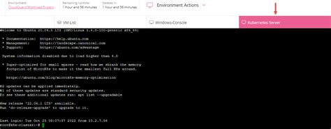 Runtime Protection