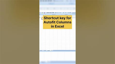Excels Secret Trick To Autofit Column Widths Exceltips Advanceexcel