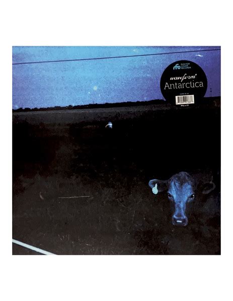 Waveform Antarctica Releases Discogs