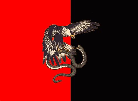 I Made An Anti Anarcho Capitalist Flag Rvexillology