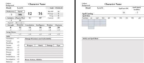 5e Character Sheet For Excel Rdnd