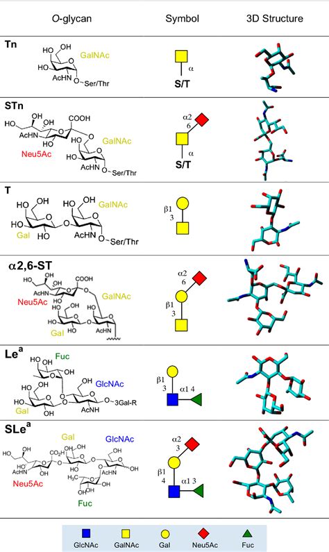 Figure 1 From Plant Lectins Targeting O Glycans At The Cell Surface As Tools For Cancer