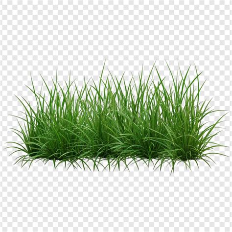 Lush Green Grass Patch A Vibrant 3d Render Of Natural Foliage Free