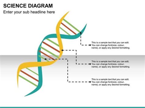 Science Diagrams Example Ygraph